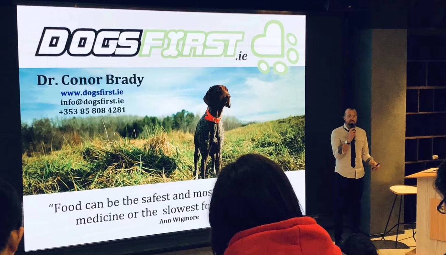 About Dr Conor Brady - Dogs First